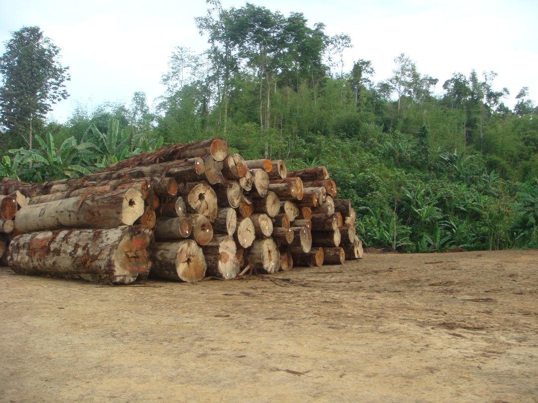 Mega Global Industries – Mega Global Group of Companies