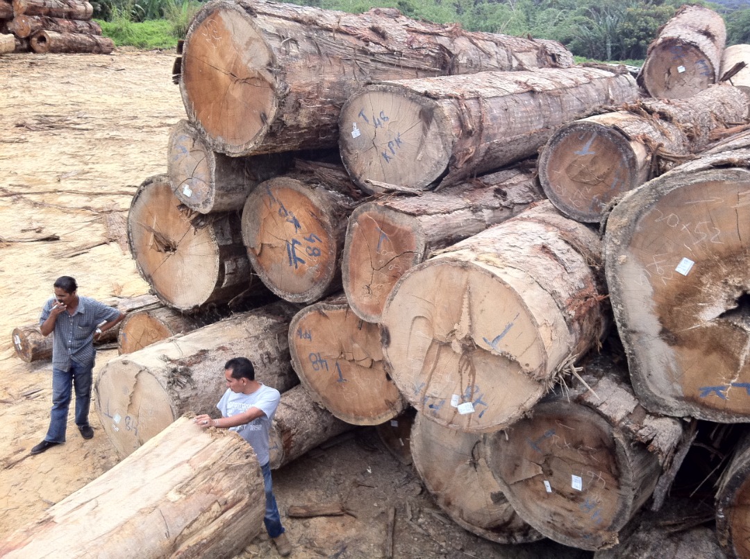 Mega Global Industries – Mega Global Group of Companies